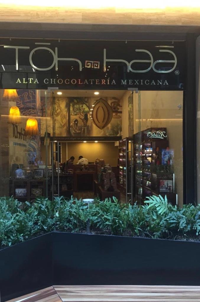 TOH -HAA - Midtown Jalisco